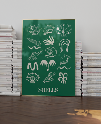 Shells, Shells, Shells – Yes, Sea Studio